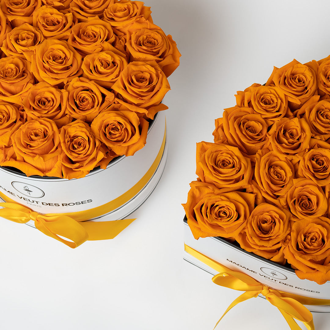 La Rose Éternelle Orange, une rose éternelle frénétique