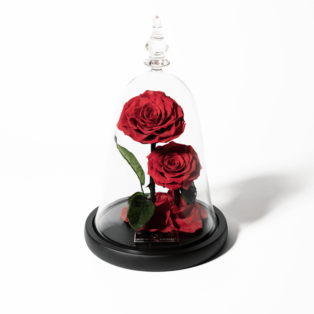 Rose éternelle sous cloche 26cm - Divine